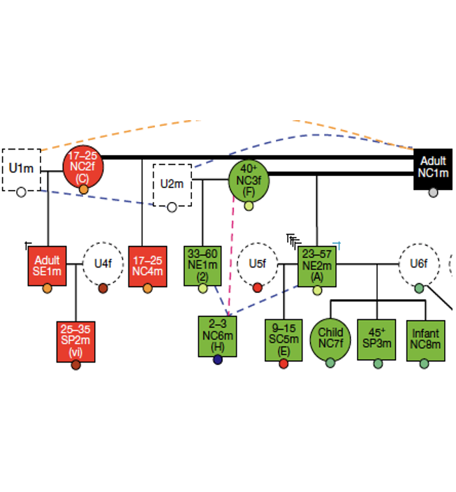 Home | David Reich Lab