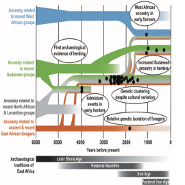 Home | David Reich Lab