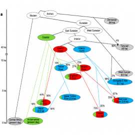 Home | David Reich Lab
